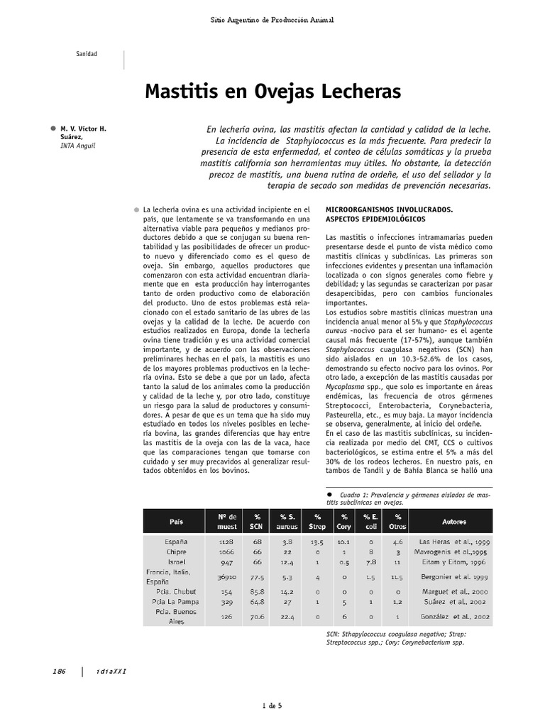 Prevención y Diagnóstico de Mastitis Ovina | PDF | Oveja | Leche