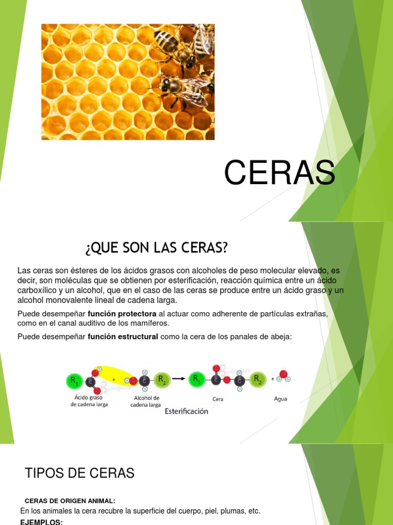 CERAS | PDF | Cera | Sustancias químicas