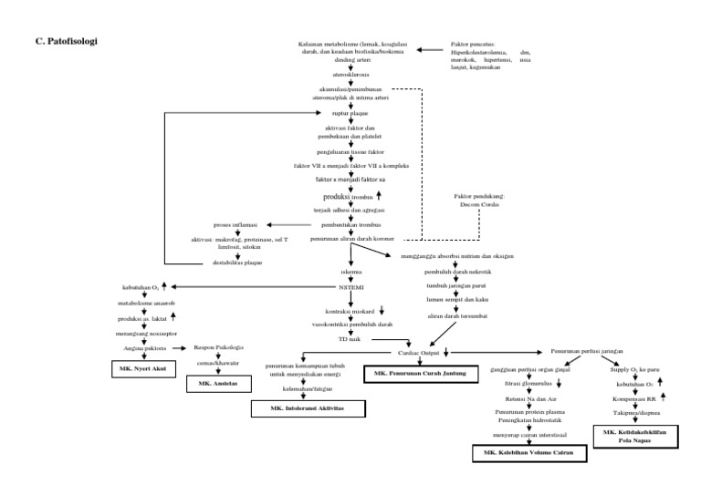 Pathway Nstemi | PDF
