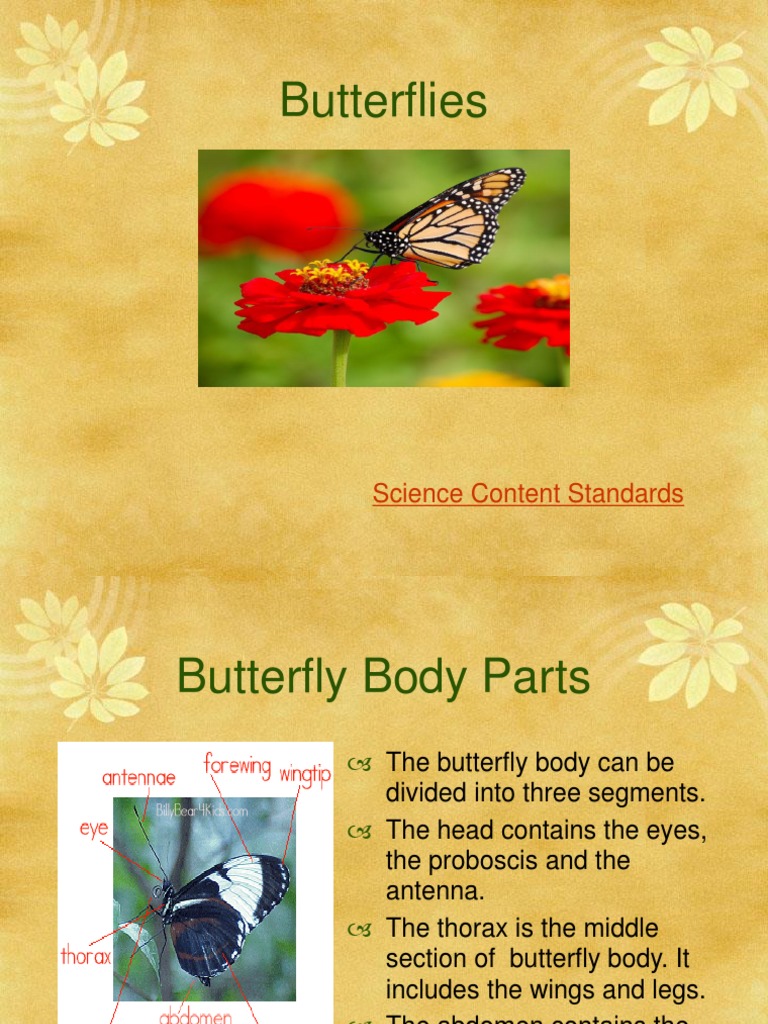 Butterflies: Science Content Standards | PDF