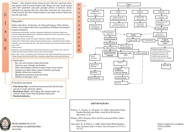 Mind Map Diare Ijah | PDF