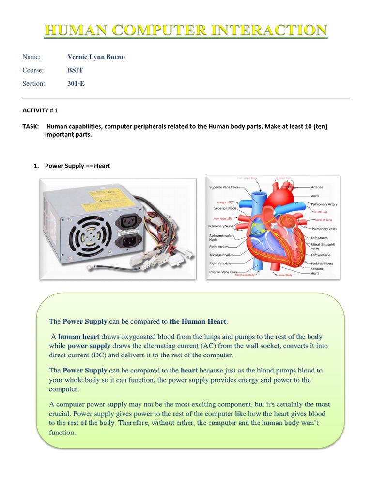Vernie Lynn Bueno Bsit 301-E: Name: Course: Section | PDF | Human Body ...