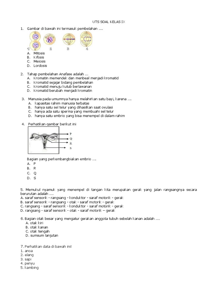 Soal Tryout Biologi UTS IX | PDF | Kesehatan Holistik | Sains & Matematika