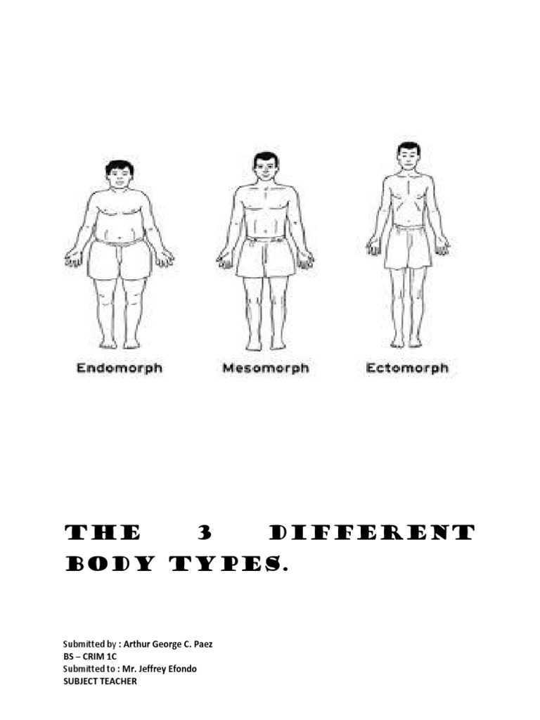 The 3 Different Body Types.: Submitted By: Arthur George C. Paez ...