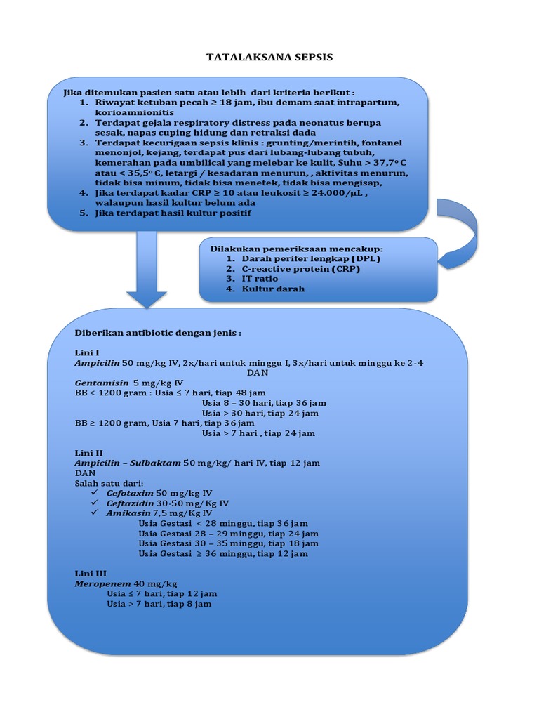 Algoritma Tatalaksana Sepsis-2 | PDF