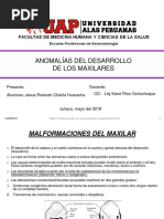 Pene de Perro - Anatomía, Características y Enfermedades | PDF | Pene ...