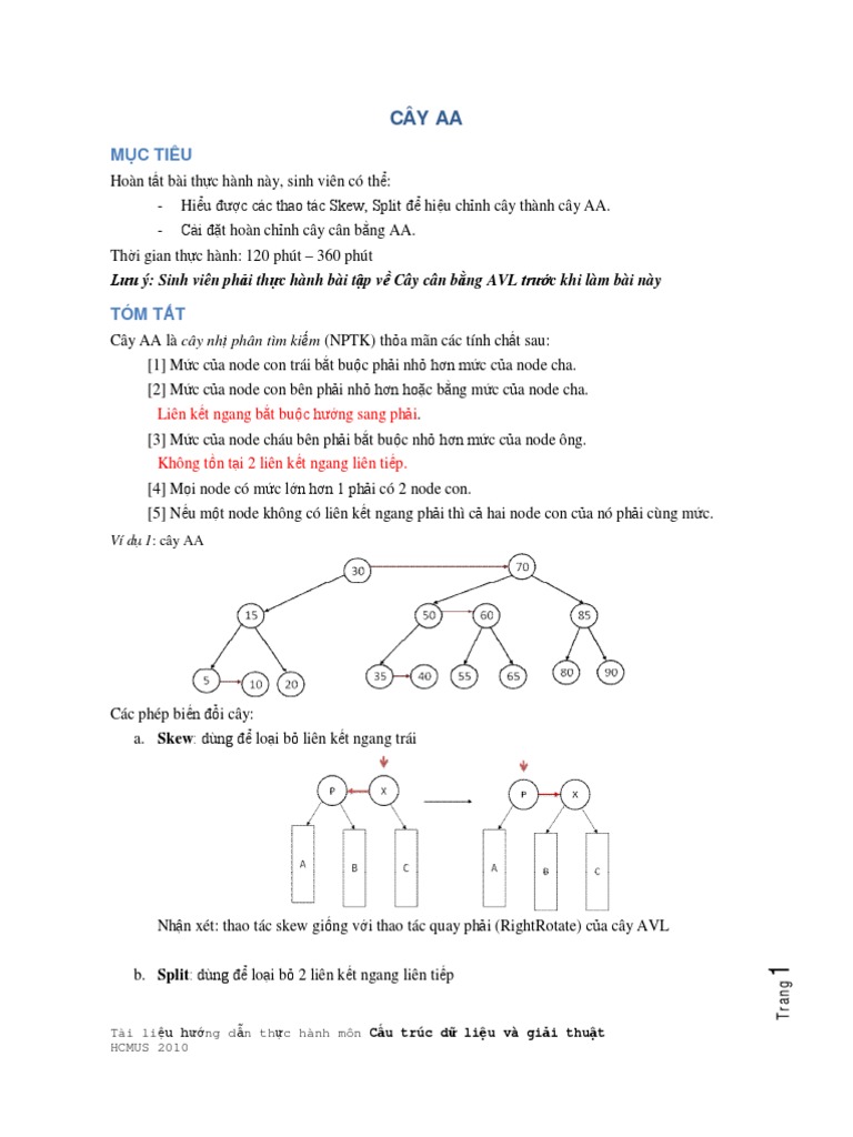CTDL Lab05 Cay Can Bang AA | PDF