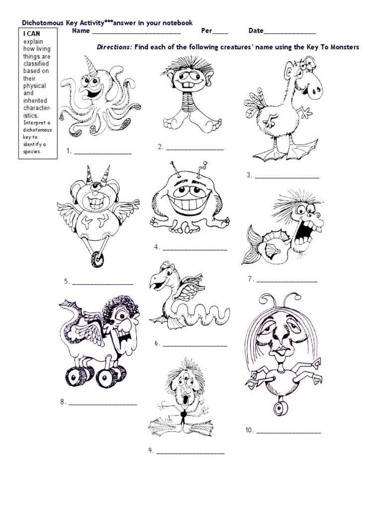 Shark Identification Using Dichotomous Key | PDF | Vertebrates ...