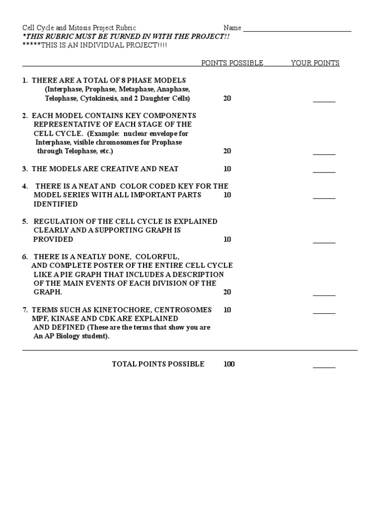 Mitosis Project Rubric Guide | PDF