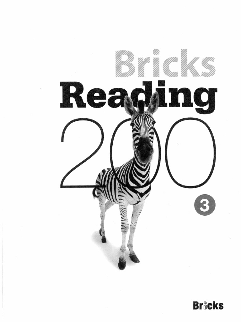 Bricks Reading | PDF