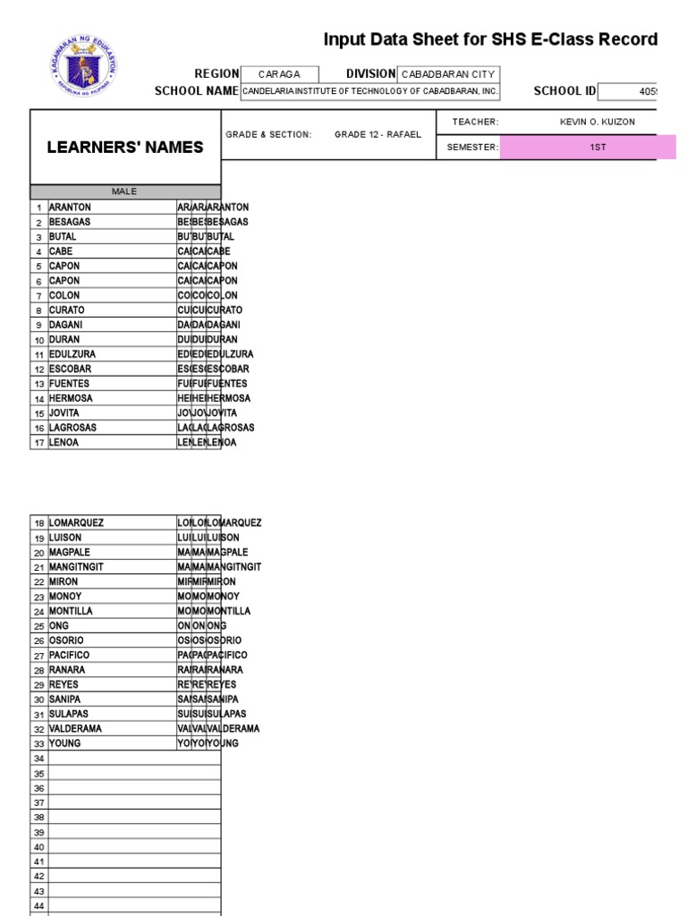 Learners' Names: Input Data Sheet For SHS E-Class Record | PDF | Youth | Adolescence