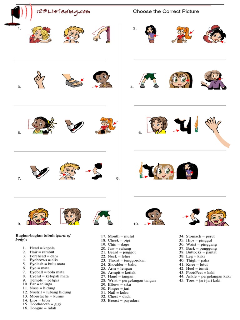 Choose The Correct Picture: Bagian-Bagian Tubuh (Parts of | PDF