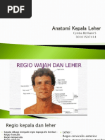 Anatomi Regio Kepala dan Leher | PDF