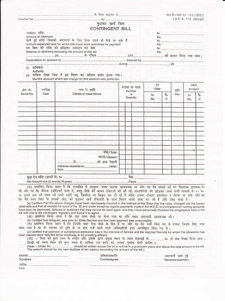 Contingent Bill Format and Guidelines | PDF
