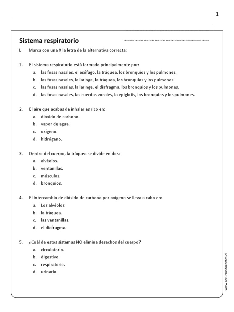 Eval CCNN Naturales 5º Básico o Primaria | PDF | Pulmón | Sistema respiratorio