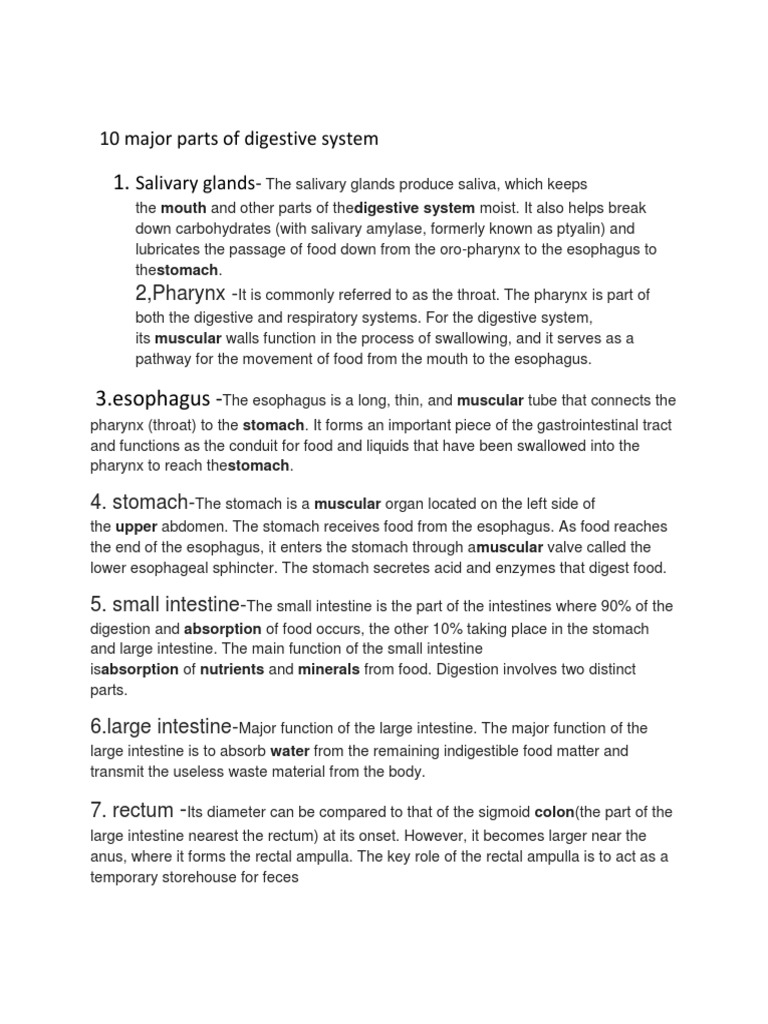 Major Parts of the Digestive System | PDF | Human Digestive System ...