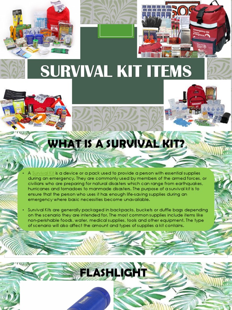 Survival Kit Items Report | Download Free PDF | Health Sciences | Wellness