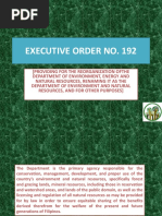 DENR Organizational Structure Overview | PDF | Business | Government