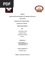 SLAT ScoreCard | PDF | Government | Justice