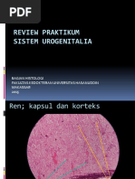 Specific Gravity Conversion Table | PDF | Gallon | Atmospheric Pressure