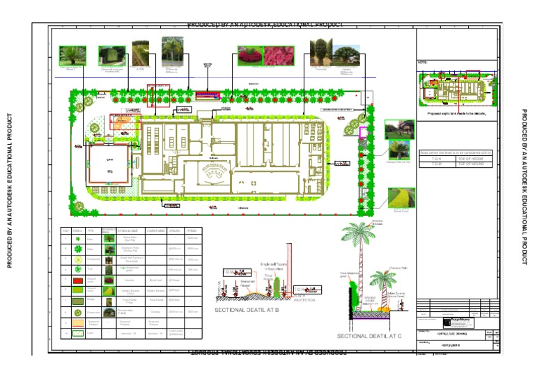 Horticulture Drawing (2) - PL-101 R0 (1050) PDF | PDF | Garden Plants ...