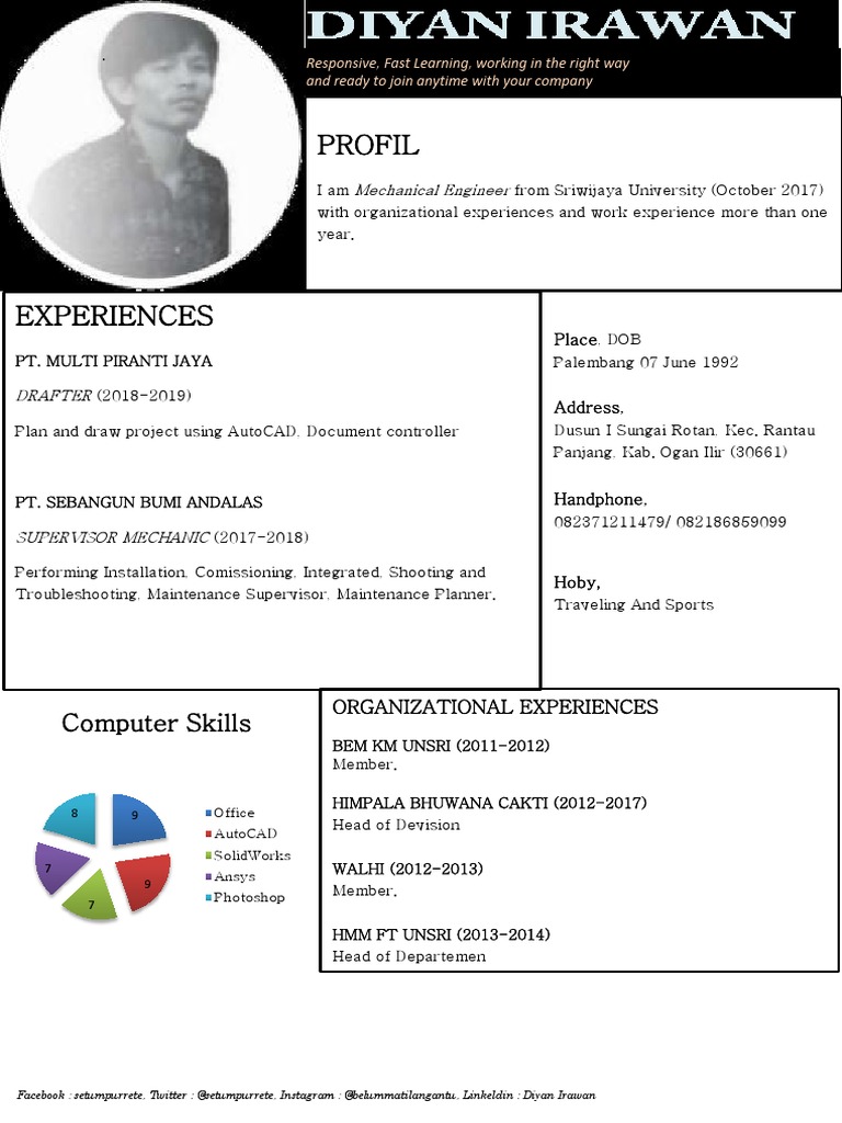 Profil: Computer Skills | PDF | Business