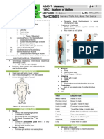 Podiatry Terms Glossary | PDF | Toe | Foot