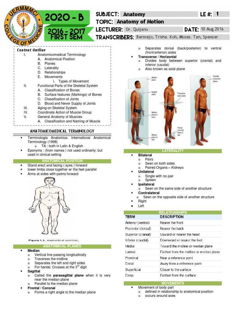 Anatomy 1.01 Anatomy of Motion | PDF | Anatomical Terms Of Motion ...