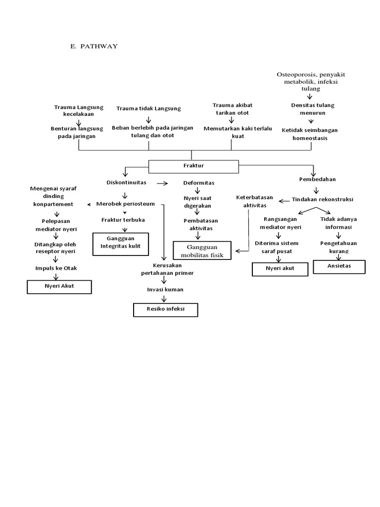 Pathway Fraktur | PDF