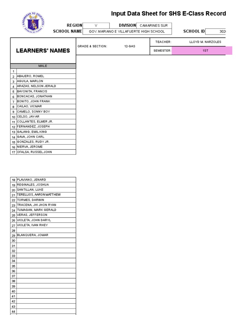 Learners' Names: Input Data Sheet For SHS E-Class Record | PDF