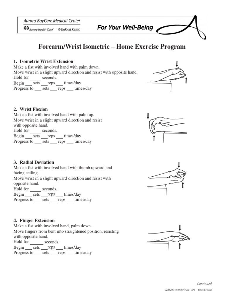 Wrist Isometric Exercise Program | PDF | Anatomical Terms Of Motion | Hand
