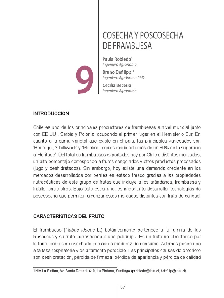 FRANBUEZA | PDF | Humedad relativa | Fruta