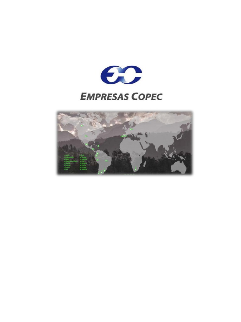 Informe de Copec Definitivo | PDF | Estación de servicio | Calidad ...