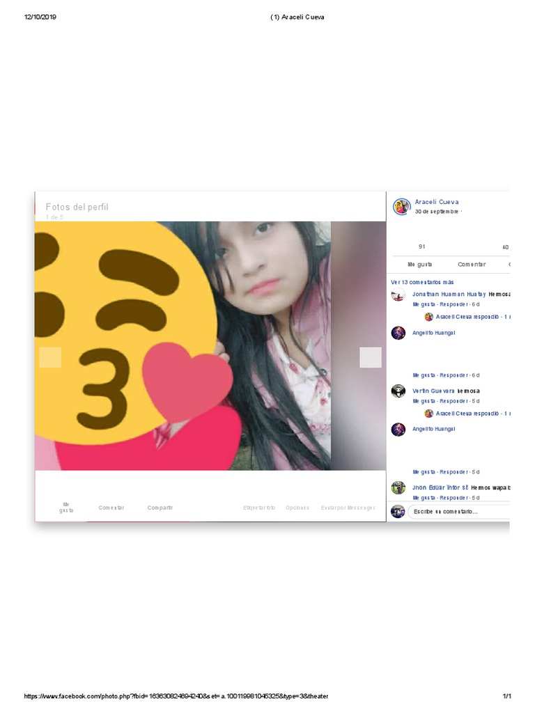 Araceli Cueva PDF | PDF | Informática y tecnología de la información