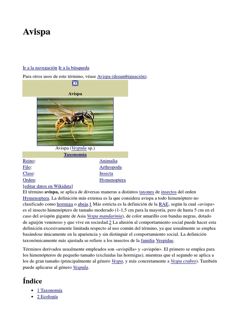 Las Avispas | PDF | Avispa | Hexapoda