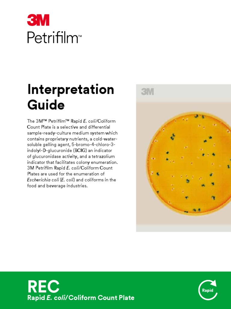 3m Petrifilm Rapid e Coli Coliform Count Plate Interpretation Guide REC | PDF | Escherichia Coli ...