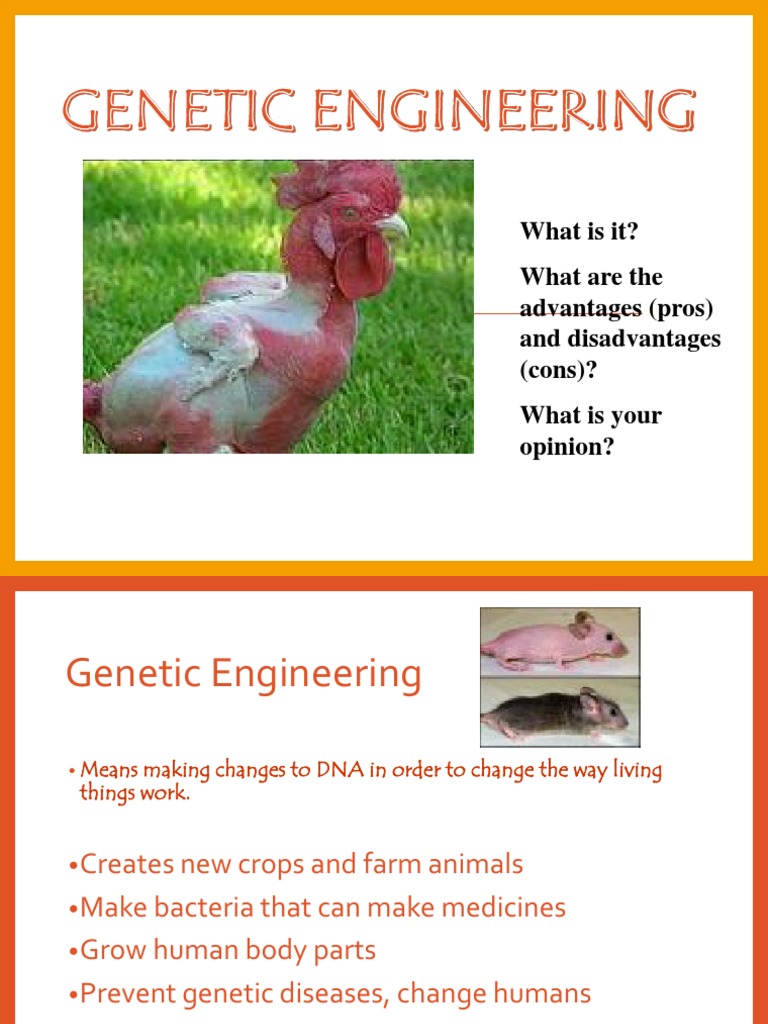 Genetic Engineering: Pros, Cons, and Applications | PDF | Genetically ...