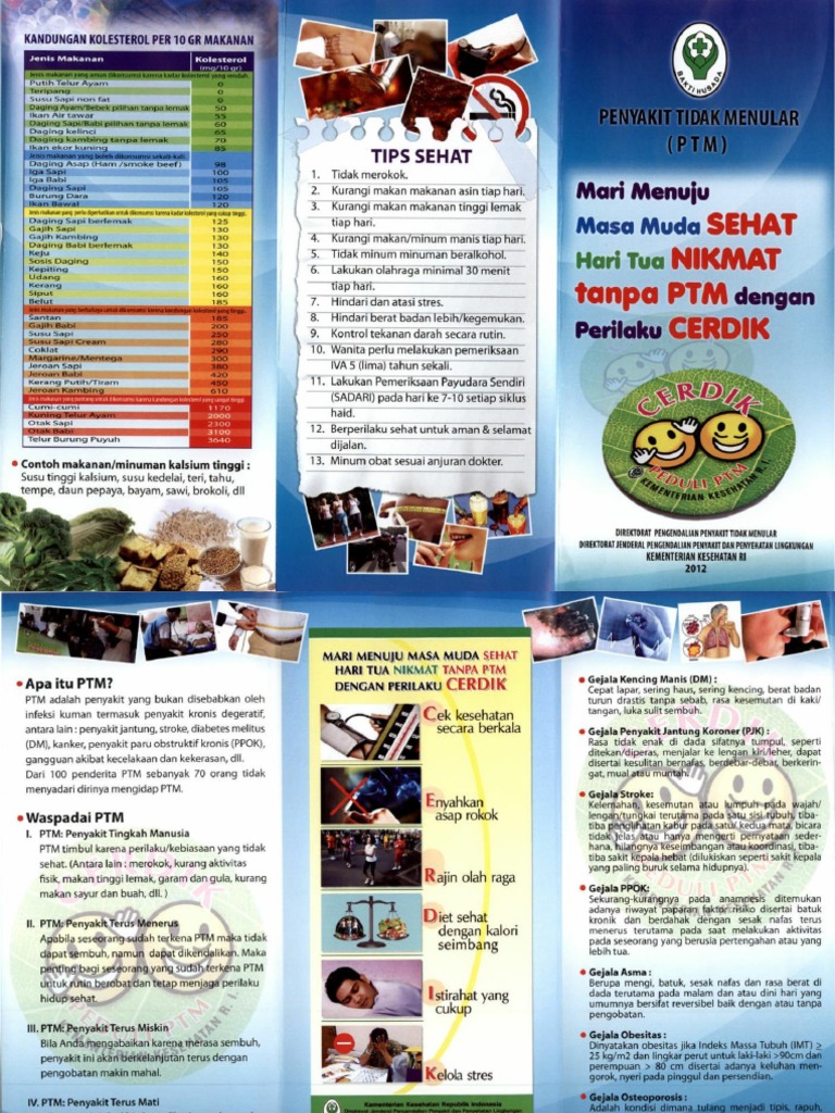 (PDF) Penyakit Tidak Menular (PTM) - Mari Menuju Masa Muda Sehat Hari Tua Nikmat Tanpa PTM ...