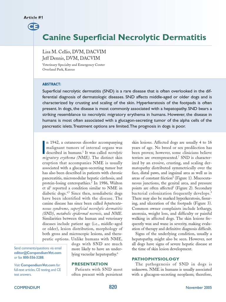 Dermatitis Necrolitica | PDF | Biopsy | Liver