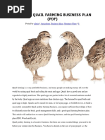 Duck Farming Guide | PDF | Duck | Wellness