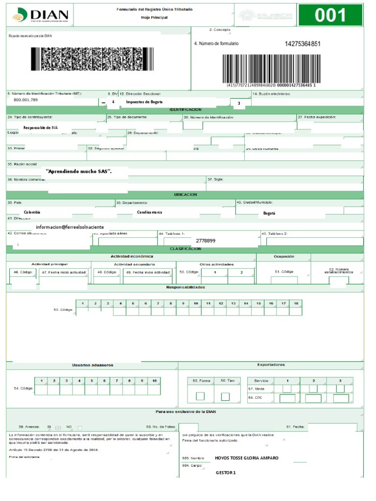 FORMATO RUT para Diligenciar | PDF
