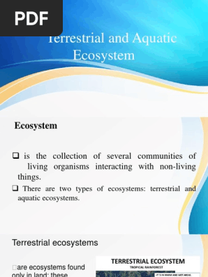 Terrestrial And Aquatic Ecosystem
