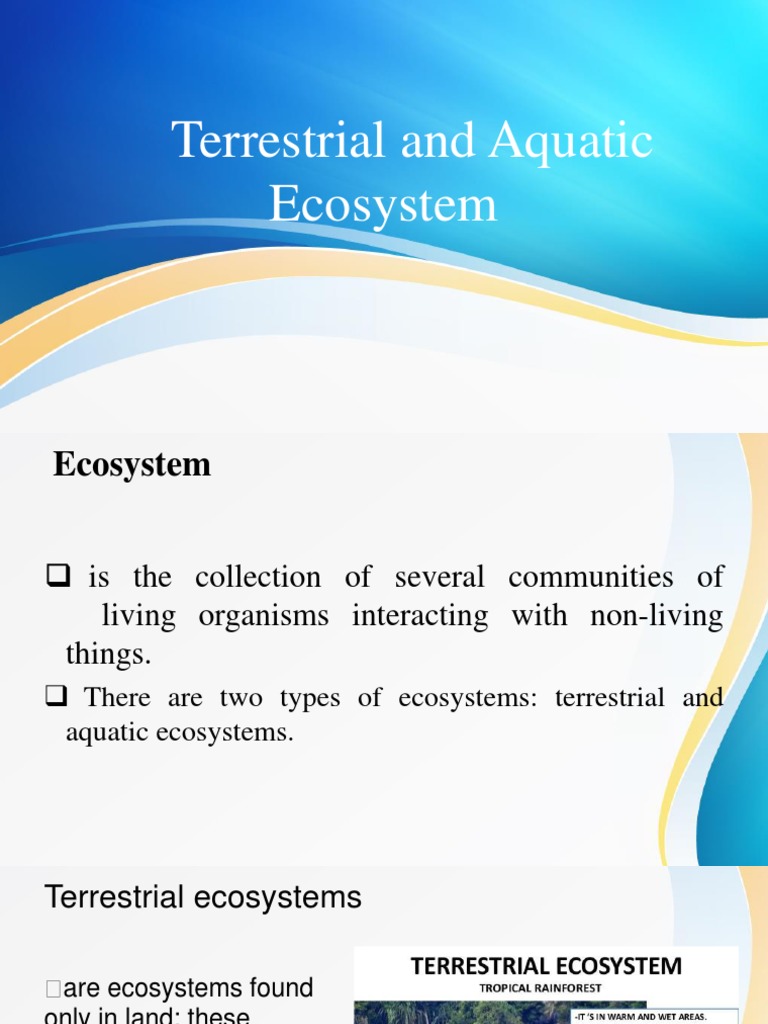 Terrestrial and Aquatic Ecosystem Interactions | PDF | Aquatic ...