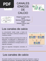 Función y Regulación del Calcio en Células | PDF | Neurona | Biología ...