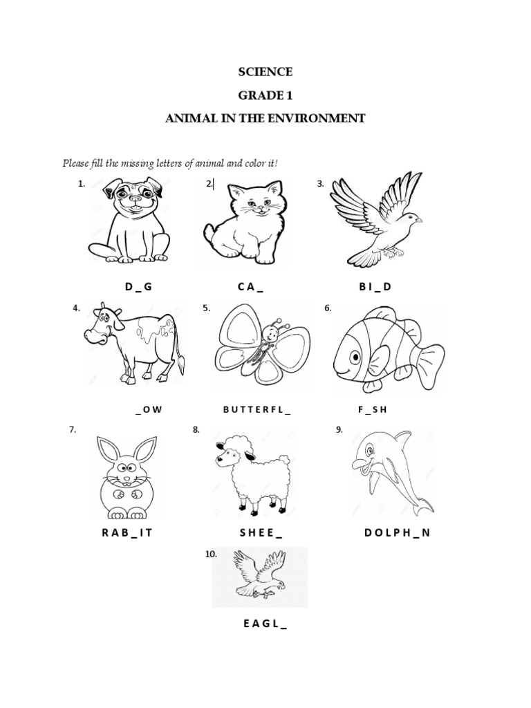 Grade 1 Animal Environment Activity | PDF