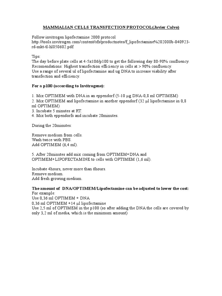Mammalian Cell Transfection Protocol | PDF