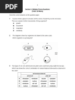 Magnification Worksheet | PDF | Units Of Measurement | Teaching Mathematics