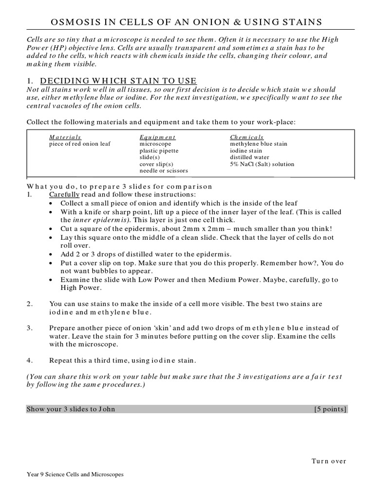 Onion Cells Investigation | PDF | Cell Membrane | Osmosis