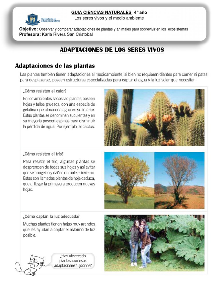 Adaptacion de Las Plantas | PDF