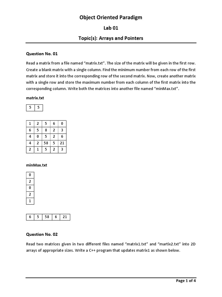 Lab 01 - OOP F19 | PDF | Matrix (Mathematics) | Algebra